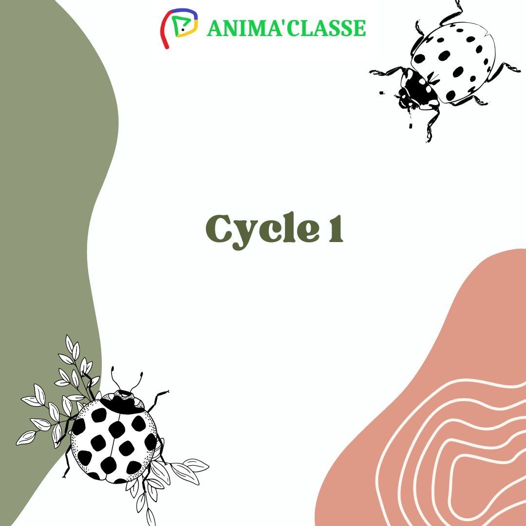 Dossier pédagogique Coccinelles Maternelle - cycle 1 - Animaclasse