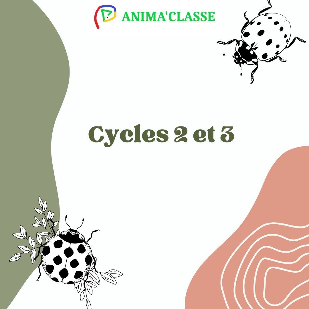 Dossier pédagogique Coccinelles Primaire / Cycles 2 et 3 - Animaclasse